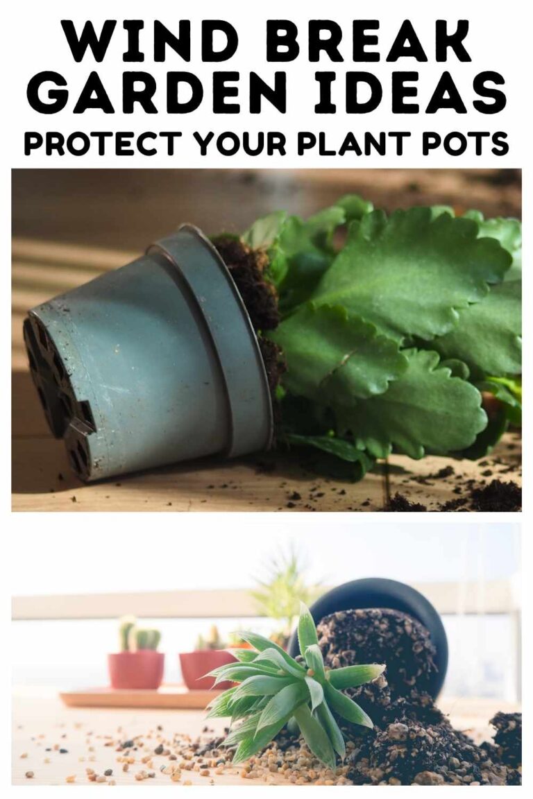 How To Stop Plant Pots Falling Over In Wind - 10 Ideas To Try