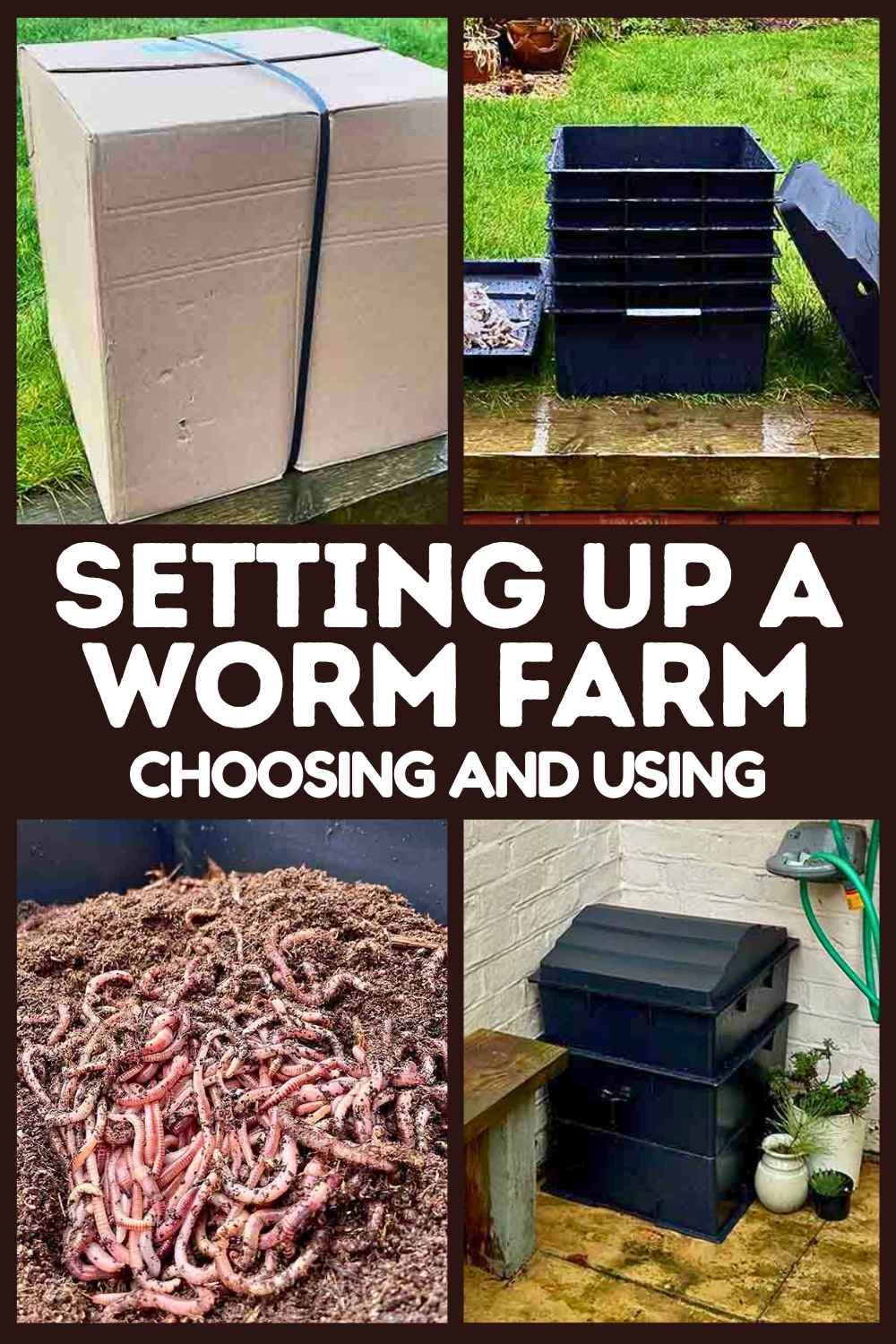 My Experience Of Setting Up A Worm Farm